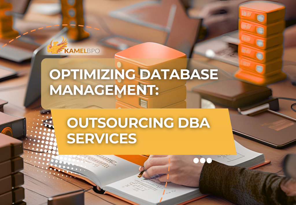 : Optimising Database Management: Outsourcing Data Services